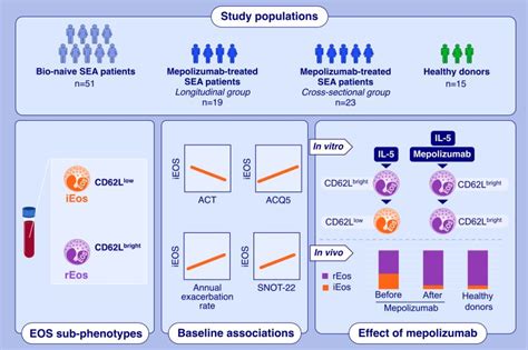 Mepolizumab Affects Eosinophils Severity Allergy Eaaci Posted On The