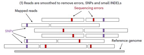 结构变异检测软件svdss使用 小蓝哥的知识荒原