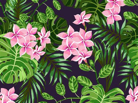 Lami Kava Fijian Kava — Tenaga Kava