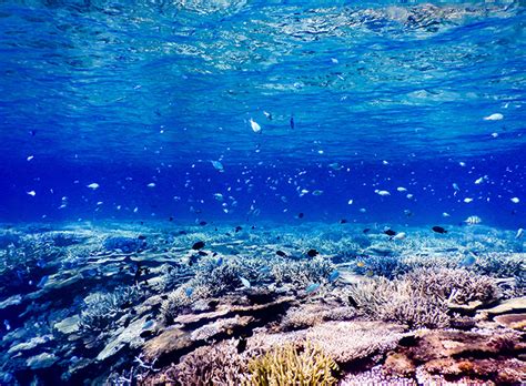 沖縄「美ら海」写真撮影の旅へ～okinawa Photo Trip～インスタグラマーyamaok5さん