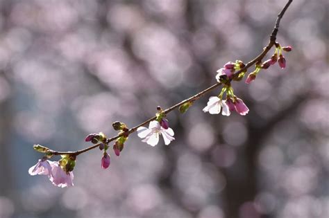 Ali Mofakhar On Linkedin Nowruz Agile Persian