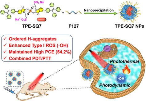 Supramolecular H Aggregates Of Squaraines With Enhanced Type I