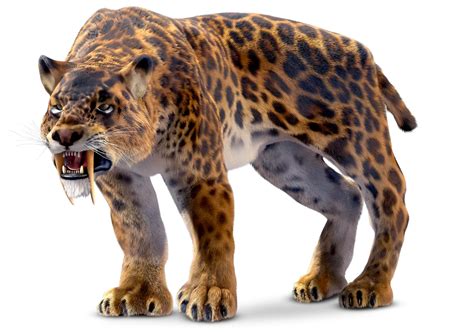 Smilodon Prehistoric Dinosaurs Wiki Fandom
