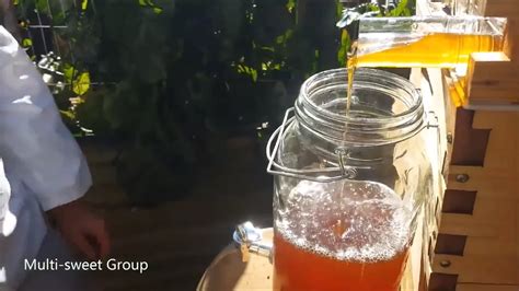 Self Flowing Honey Bee Hive Box Full Reveal Chinese Honey Auto Flowing Beehive Flows Hive South