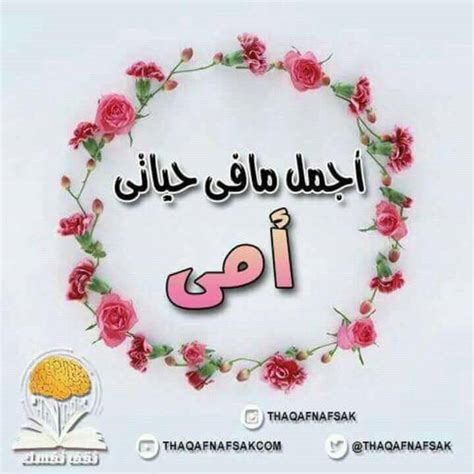 أمي ثم أمي حتى آخر يوم في عمري
