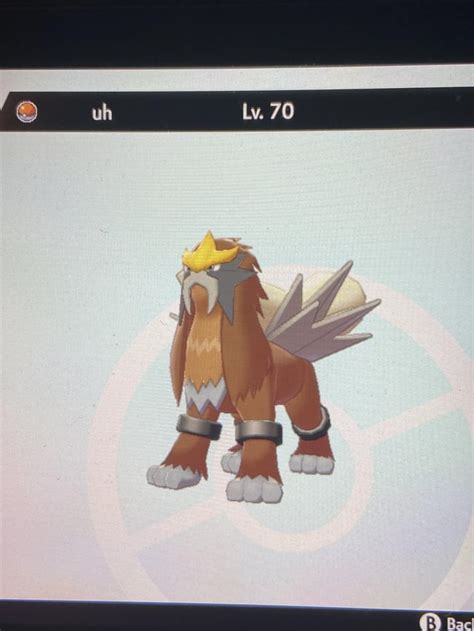 My First Shiny When I Was Training Up My Cubfoo I Was Doing Max Lair
