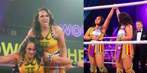Tonga Twins Challenge The Bellas Twitter Erupts With Dream Match Hope Otakukart
