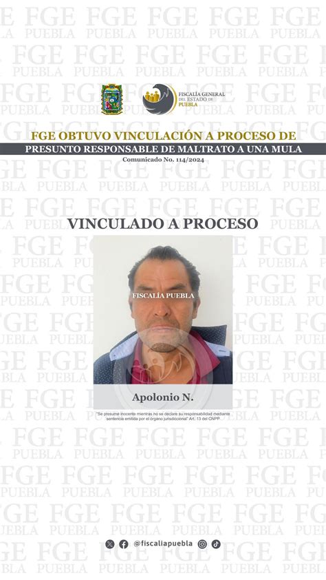 Vinculado Al Delito De Maltrato Animal