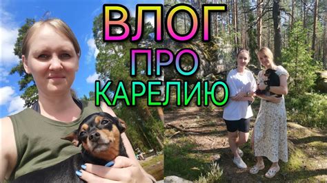 ВЛОГ про Карелию Как съездили что видели что случилось с огородом
