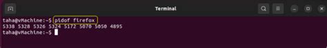 How To Kill Processes In Ubuntu LinuxWays