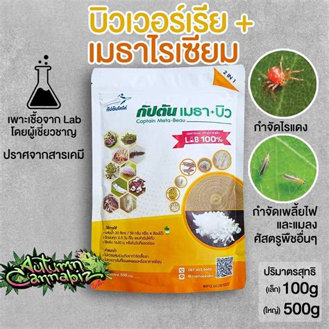 [ ส่งฟรี ] บิวเวอร์เรีย เมธาไรเซียม เชื้อราดี ชนิดผง 100กรัม Metharisium And Beauveria กำจัดไร