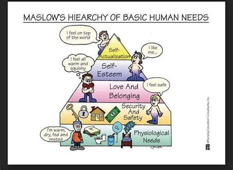Maslow Hierarchy Nursing School Survival Nursing Education Nursing