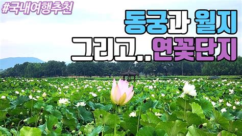 국내여행추천 역사와 자연이 만나는 곳에서의 7월 여름날 이야기 경주 동궁과 월지 그리고연꽃단지 문화도시경