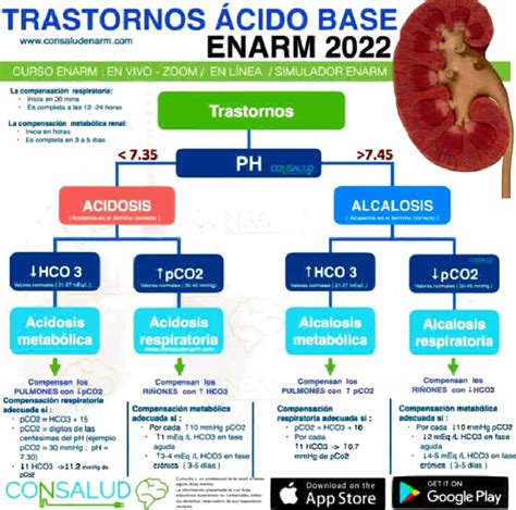 Trastorno Ácido Base Pdf