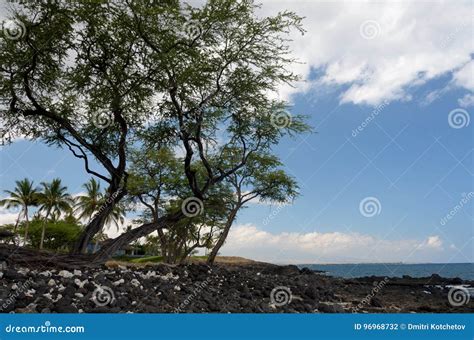 Mauna Kea Beach Big Island Hawaii Royalty Free Stock Image