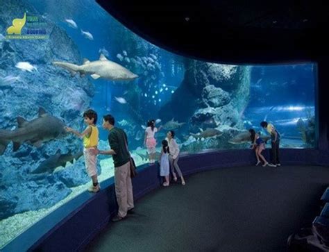 5 กิจกรรมสนุกๆสำหรับเป็นไอเดียจัดงานเลี้ยง อบต Tour Thailand Booking
