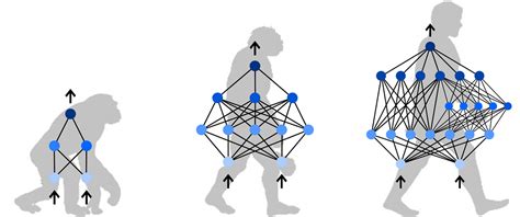 A Primer On The Fundamental Concepts Of Neuroevolution By Paul Pauls Tds Archive Medium