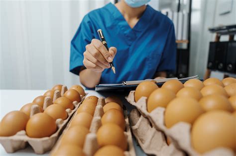 실험실 테스트 작업자 품질 관리 최적의 닭고기 달걀 품질 실용적인 접근 가금류 달걀은 농산물의 품질을 정확하고 일관되게 측정합니다 Performing Arts Event에
