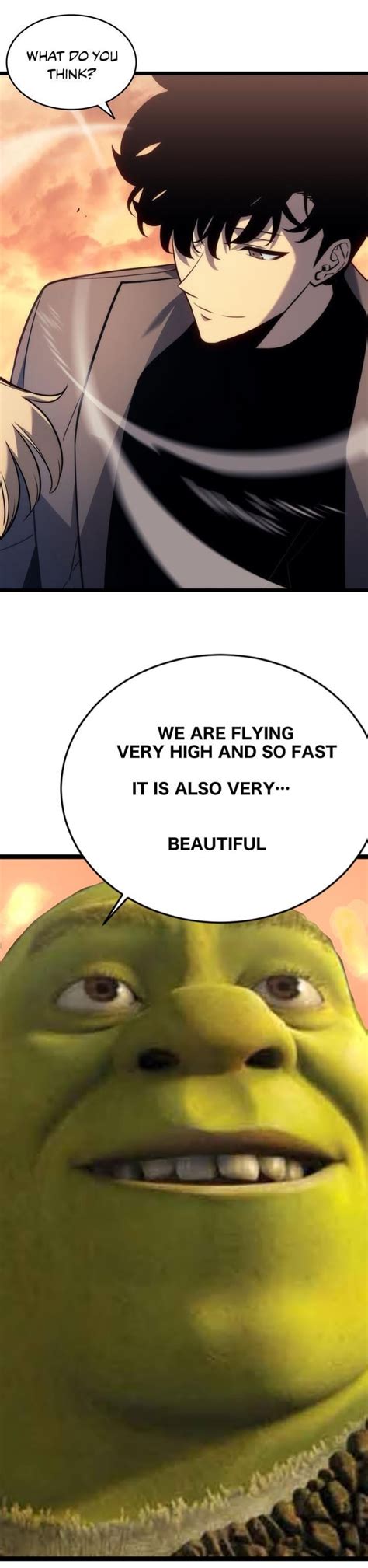 Solo Leveling If It Was Peak R Lobotomyleveling