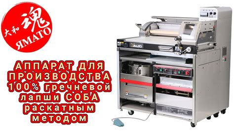 Аппарат для производства 100% гречневой лапши СОБА, имитирующий ручное ...