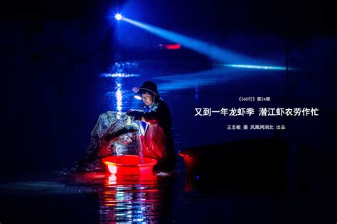 又到一年龙虾季 潜江虾农劳作忙凤凰湖北