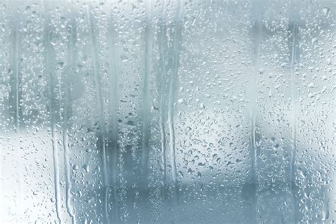 How To Reduce Your Homes Humidity Pronto Power