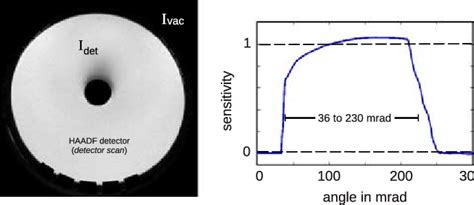 A Detector Scan Image Of The Haadf Detector In Logarithmic Scale B