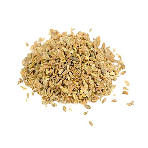 Seeds PJ Agro Seeds