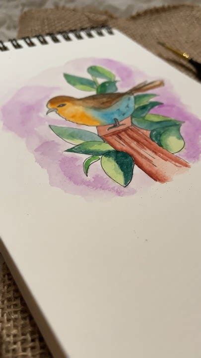 رسمة مائية 🐦 Art Drawing رسامه رسم اكسبلور فن Sketch