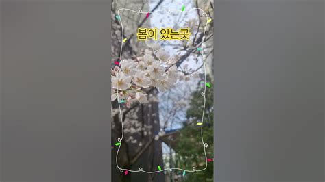 주님것을 내것이라고 Youtube