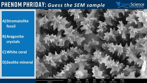 Nanoscience Instruments On Linkedin Electronmicroscopy