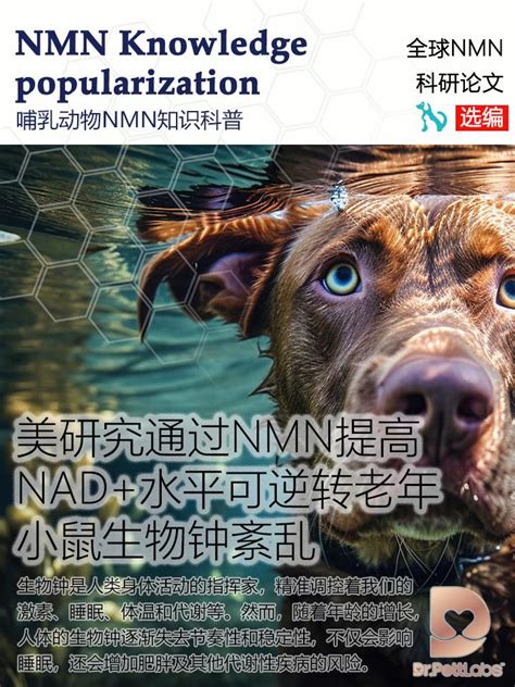 宠物nmn科普 美研究发现通过nmn提高nad水平可逆转老年小鼠生物钟紊乱 知乎