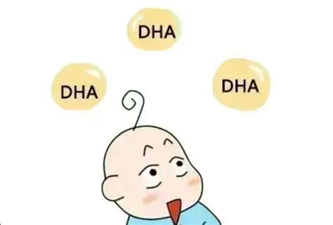 DHA的作用与功效 藻油DHA的优势 哔哩哔哩