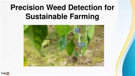 Ppt Crop Weed Detection Services Tagx Powerpoint Presentation Free Download Id13565991