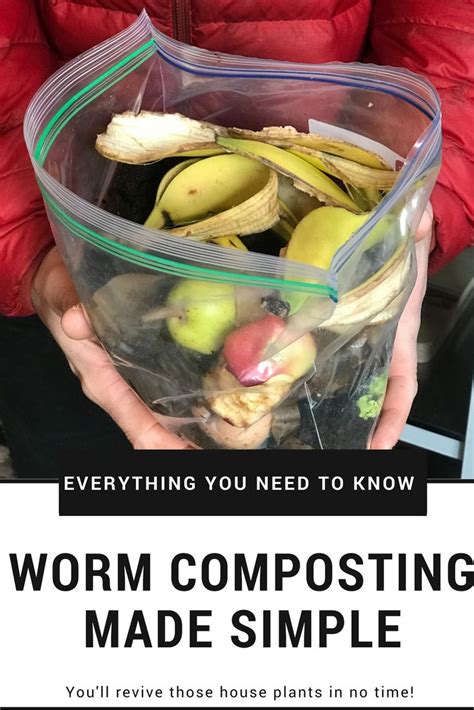 Worm Composting Made Simple Everything You Need To Know Worm