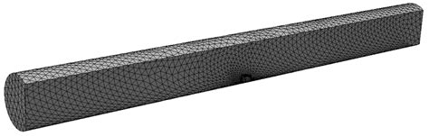 Finite Element Tetrahedral Mesh 21720 Tetrahedra The Normal Component