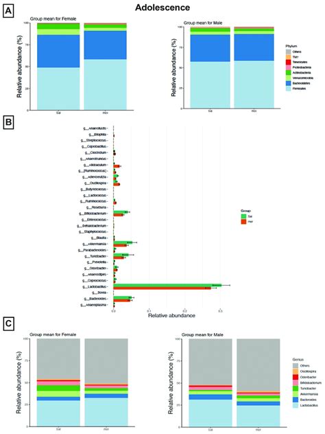 Microbial Composition Profiling In Adolescence Neonatal Morphine