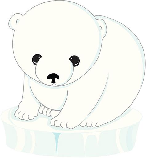 Best Polar Bear Cub Illustrations Royalty Free Vector Graphics And Clip