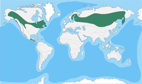 Where Is The Taiga Located On Earth The Earth Images Revimageorg