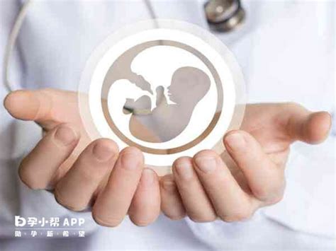 排卵前一天vs排卵当天同房，哪个成功几率大这篇告诉 名医在线