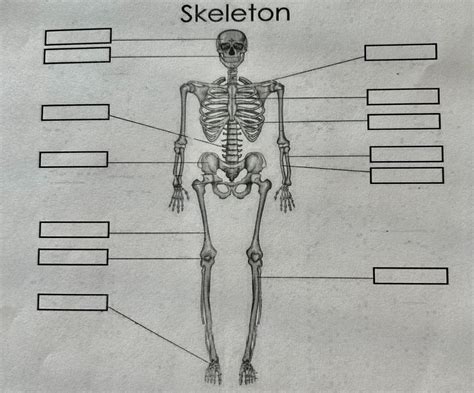 Health Assessment Exam 4 Complete Set Diagram Quizlet