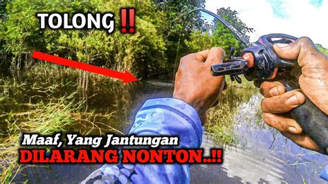 AMUKAN SANG MONSTER TOMAN KALI INI BIKIN GEMETARAN MAS BROO YouTube