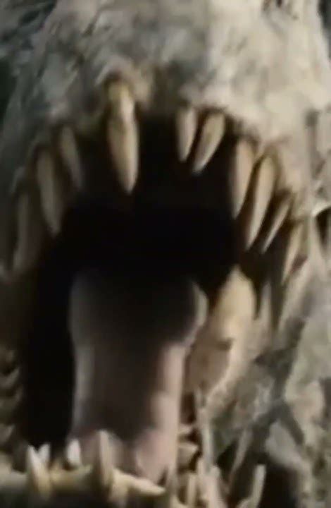 Disney Carnotaurus Vs V Rex Debate Whoisstrongest Indominusrex Trex