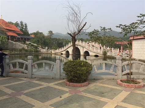 2日游 深圳旅游攻略 游记 去哪儿攻略
