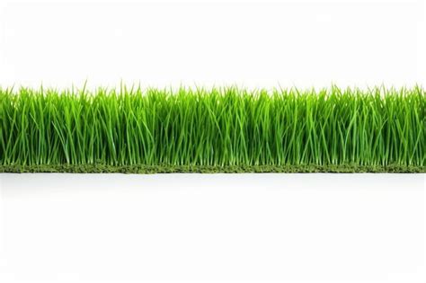 Premium Ai Image Green Grass Field Isolated On White Background