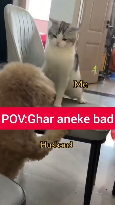 Comedy 😹 Youtubeshorts Trending Viralvideo Funny Shortsfeed