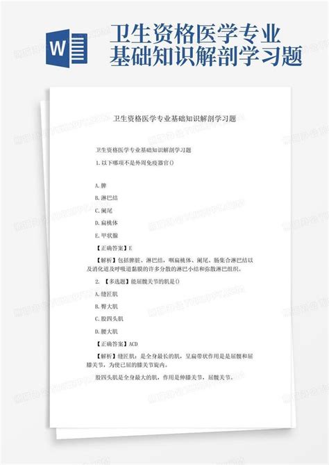 卫生资格医学专业基础知识解剖学习题Word模板下载 编号qjnnweod 熊猫办公