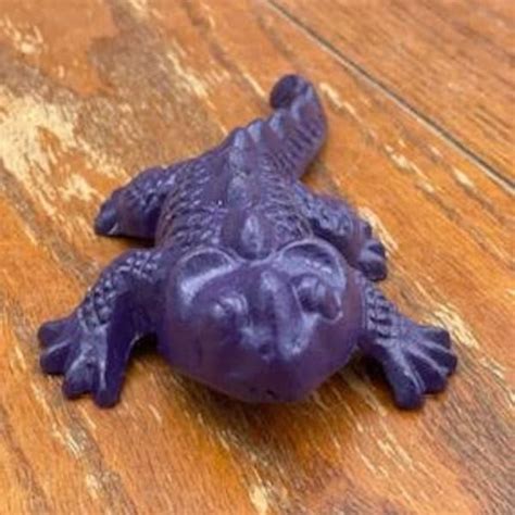 Horned Toad Etsy