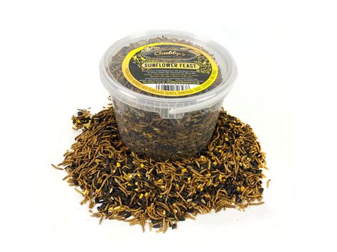 Chubby Sunflower Feast Mealworms And Seed Mix 3 Litre Chubby Mealworms Uk