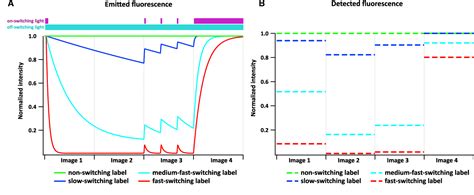 Table 1 From Separation Of Spectrally Overlapping Fluorophores Using